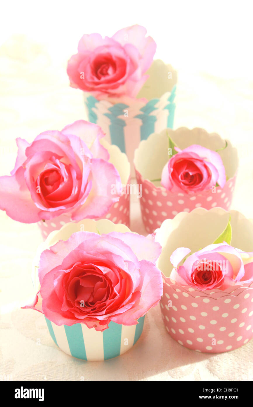 Beautiful roses in cups hi-res stock photography and images - Alamy