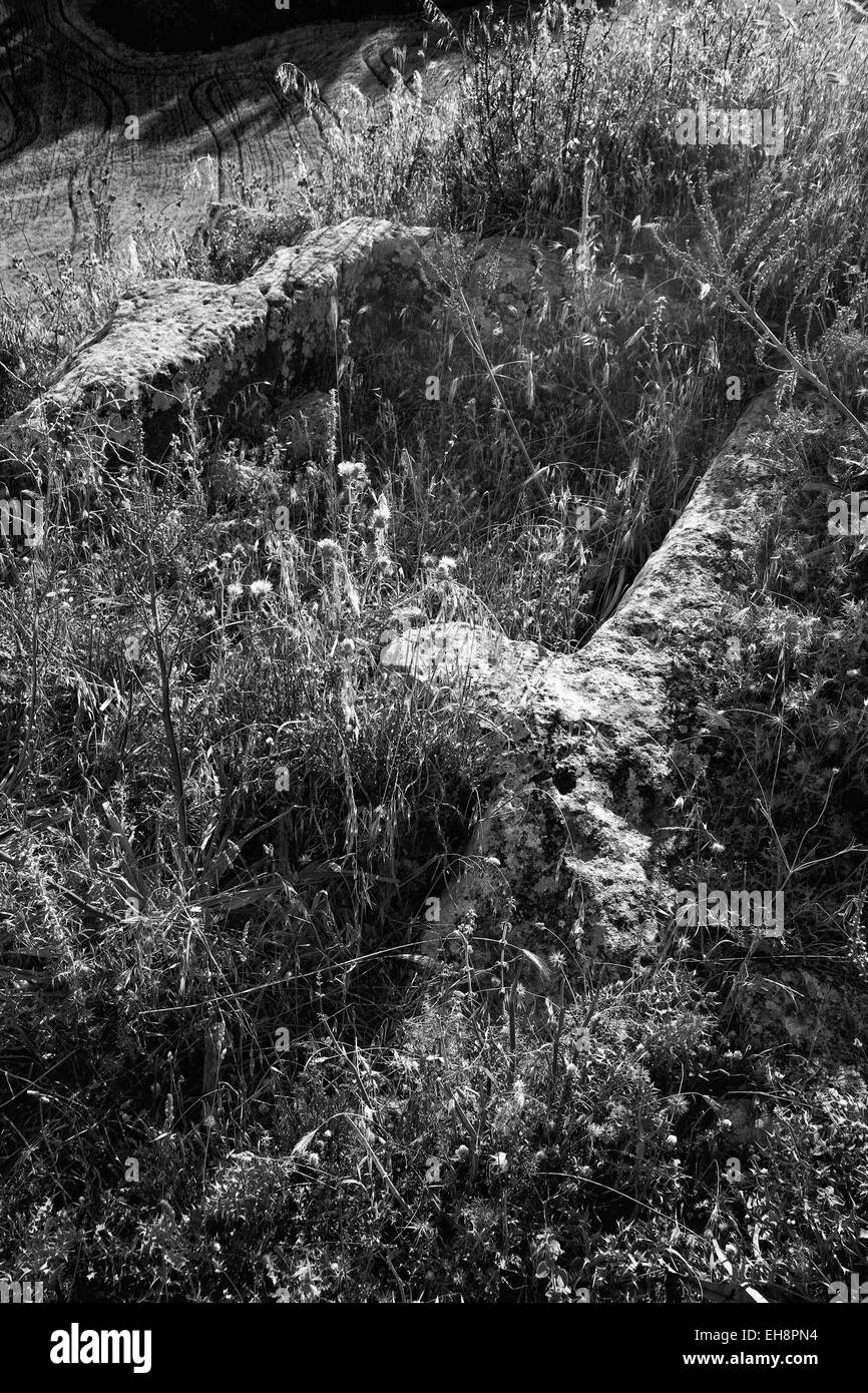 Landscape ruins in greek Black and White Stock Photos & Images - Alamy
