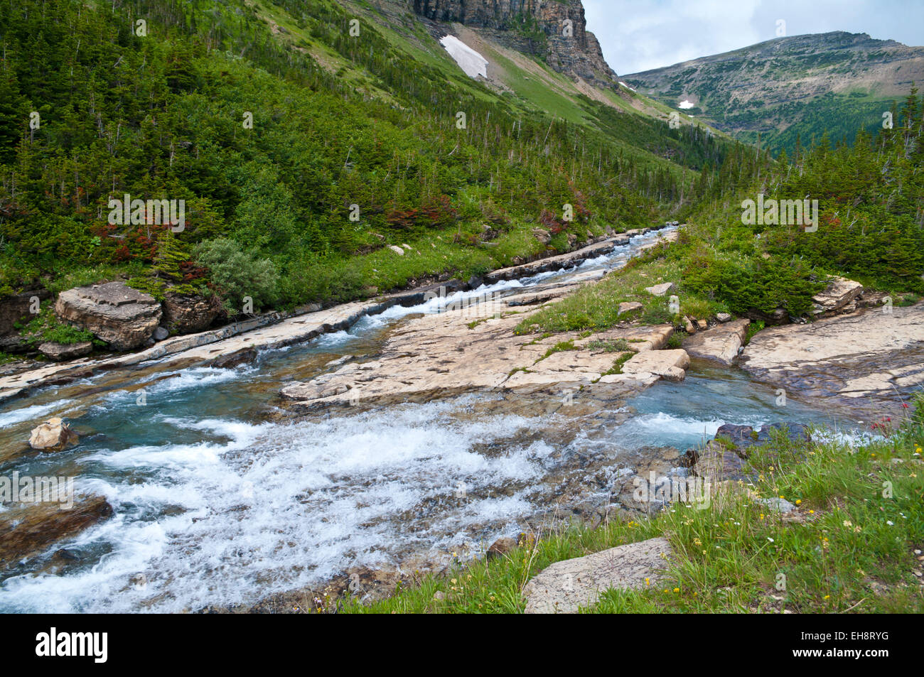 A creek along the Siyeh Pass trail, in Glacier National Park, Montana ...