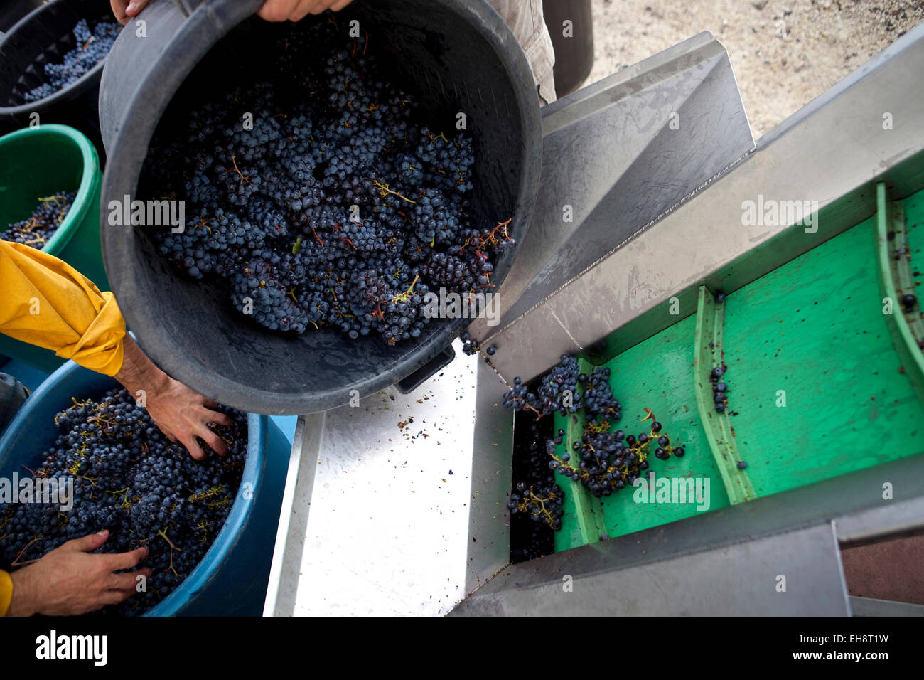 Sorting Grains High Resolution Stock Photography and Images - Alamy