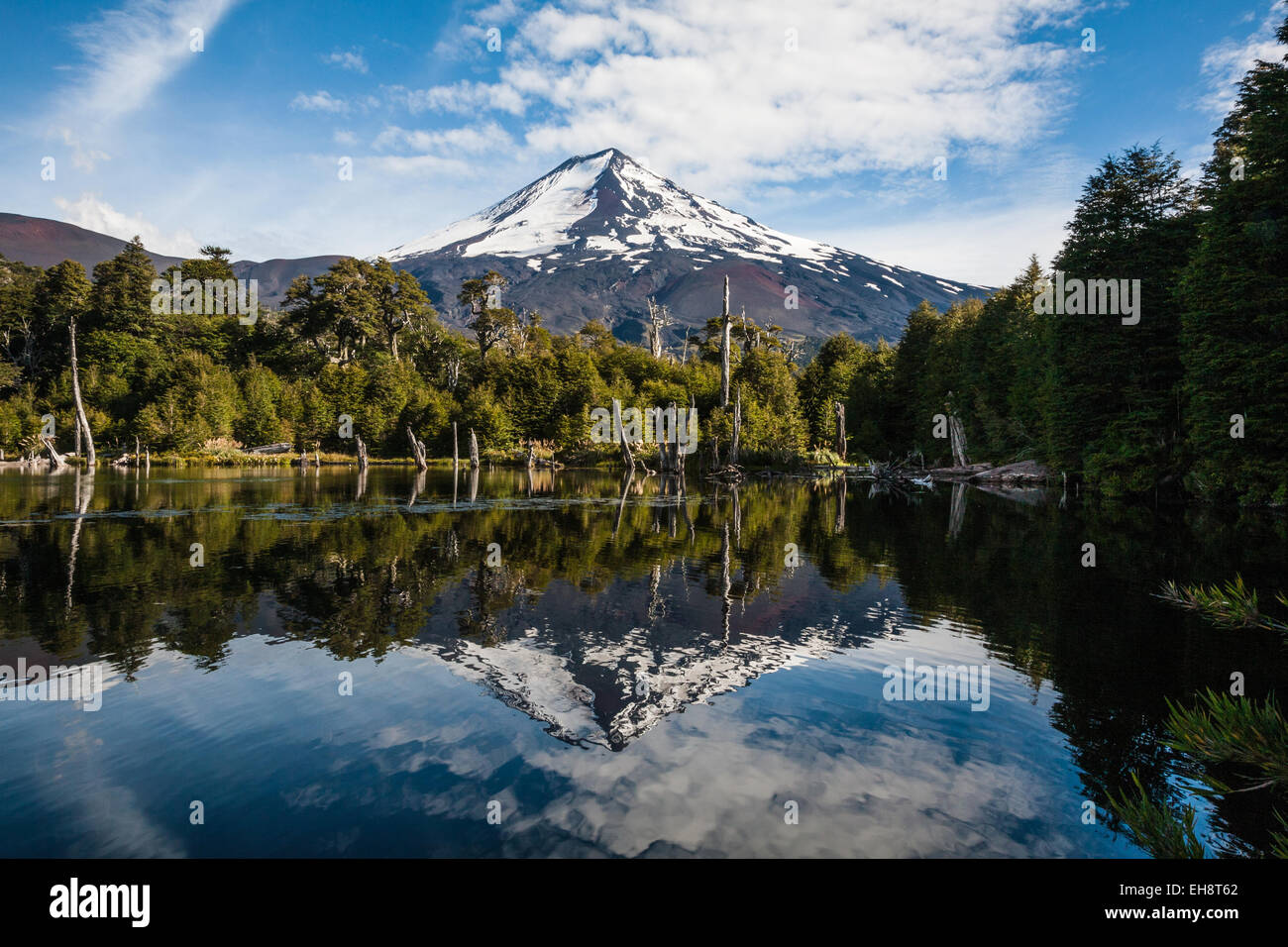 Conguillo National Park, Chile Stock Photo - Alamy