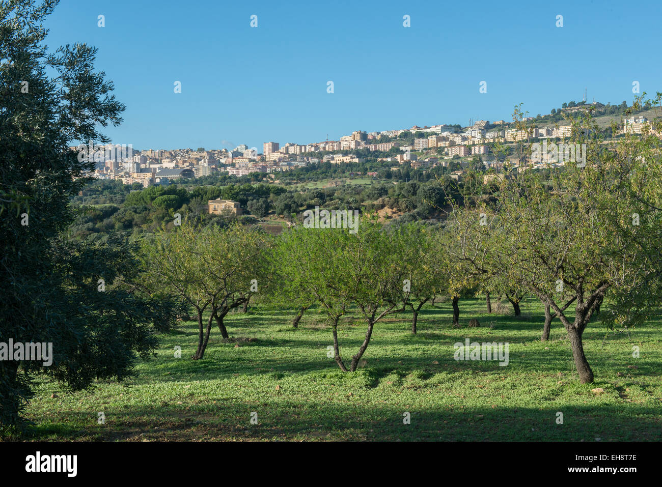 Agrigente sicile hi-res stock photography and images - Alamy
