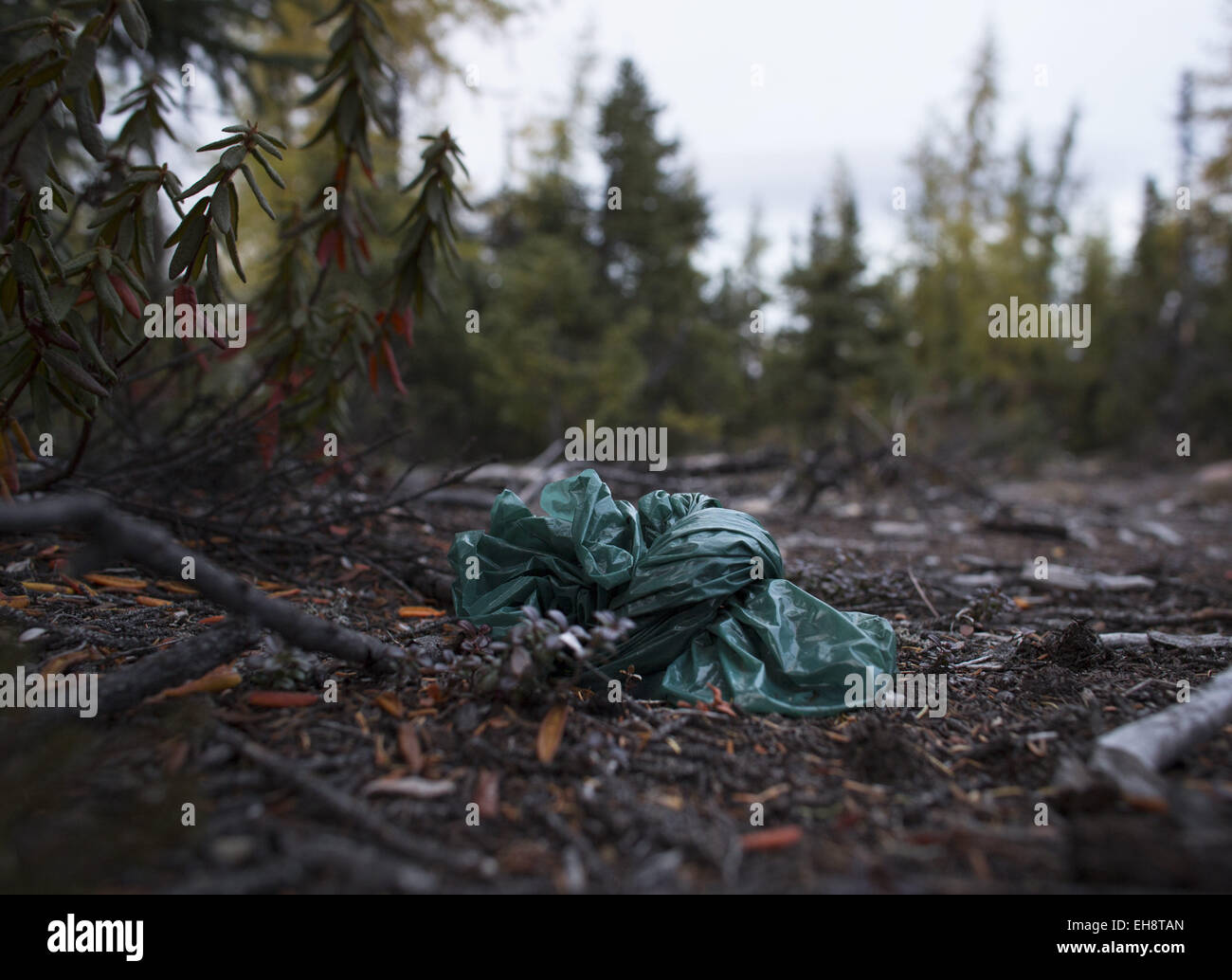 Alcohol abuse first nations hi-res stock photography and images - Alamy