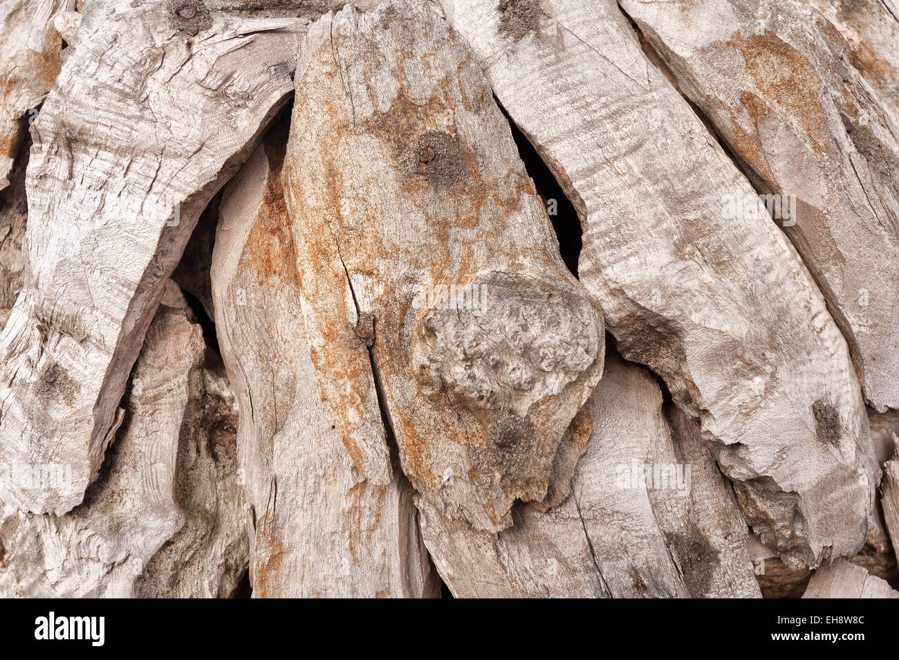 Wood slivers hi-res stock photography and images - Alamy
