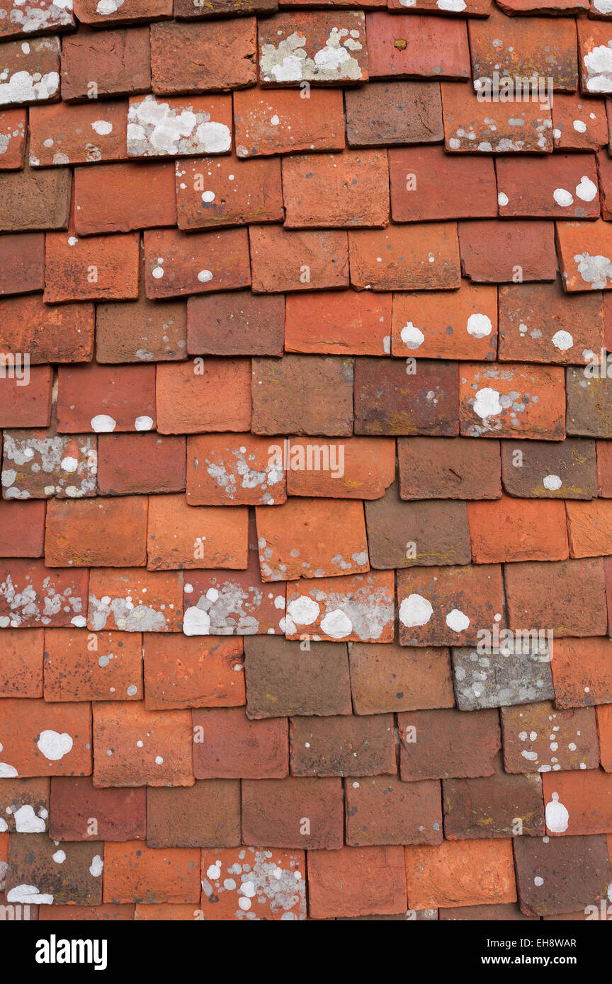 Vertical exterior wall hanging clay tiles hi-res stock photography and ...