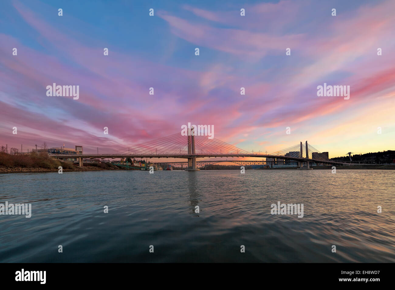 Tilikum Crossing and Ross Island Bridge Over Willamette River in ...