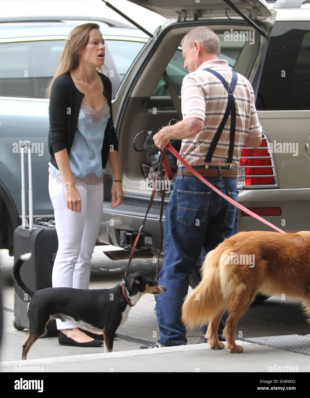 Hilary Swank and her dogs at Los Angeles International Airport (LAX ...
