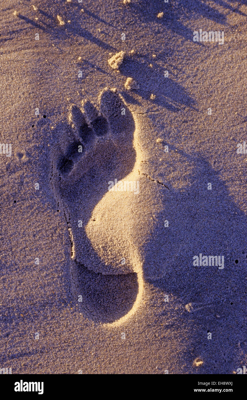 Footprint in the sand, Darwin, Australia Stock Photo - Alamy