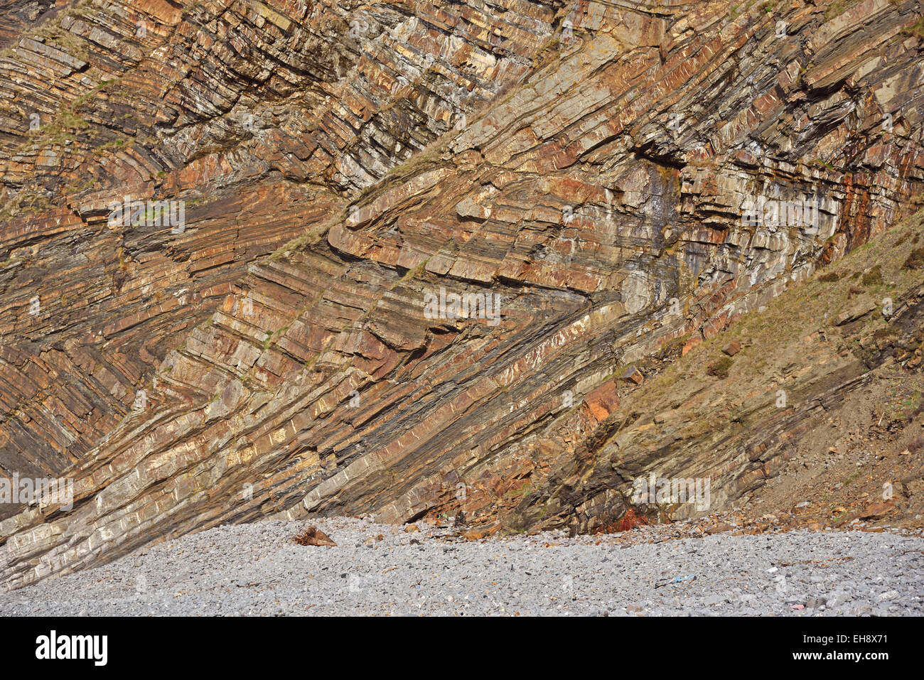 Millook , Cornwall. The cliffs display a series of recumbent chevron ...