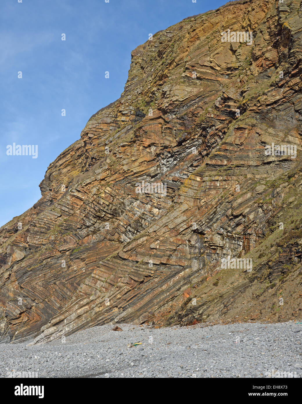 Millook , Cornwall. The cliffs display a series of recumbent chevron ...