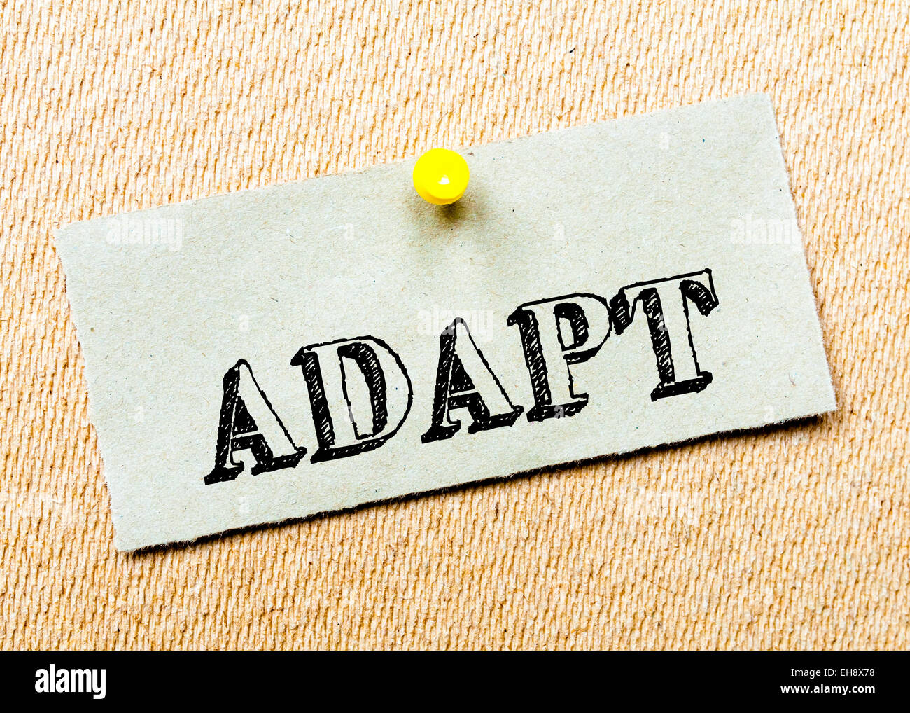 Recycled paper note pinned on cork board. Adapt Message. Concept Image ...