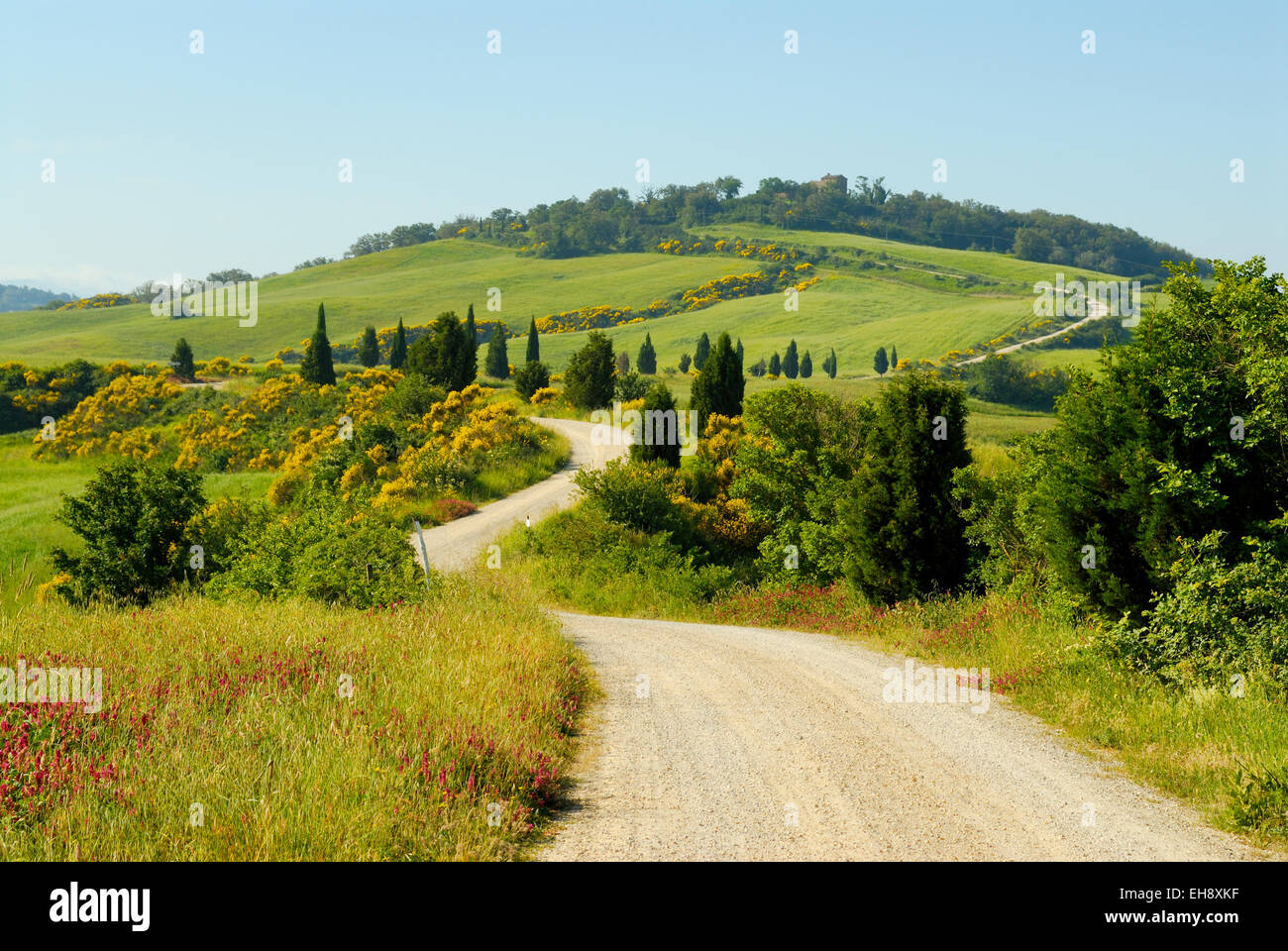 Tuscany road scenic winding hi-res stock photography and images - Alamy
