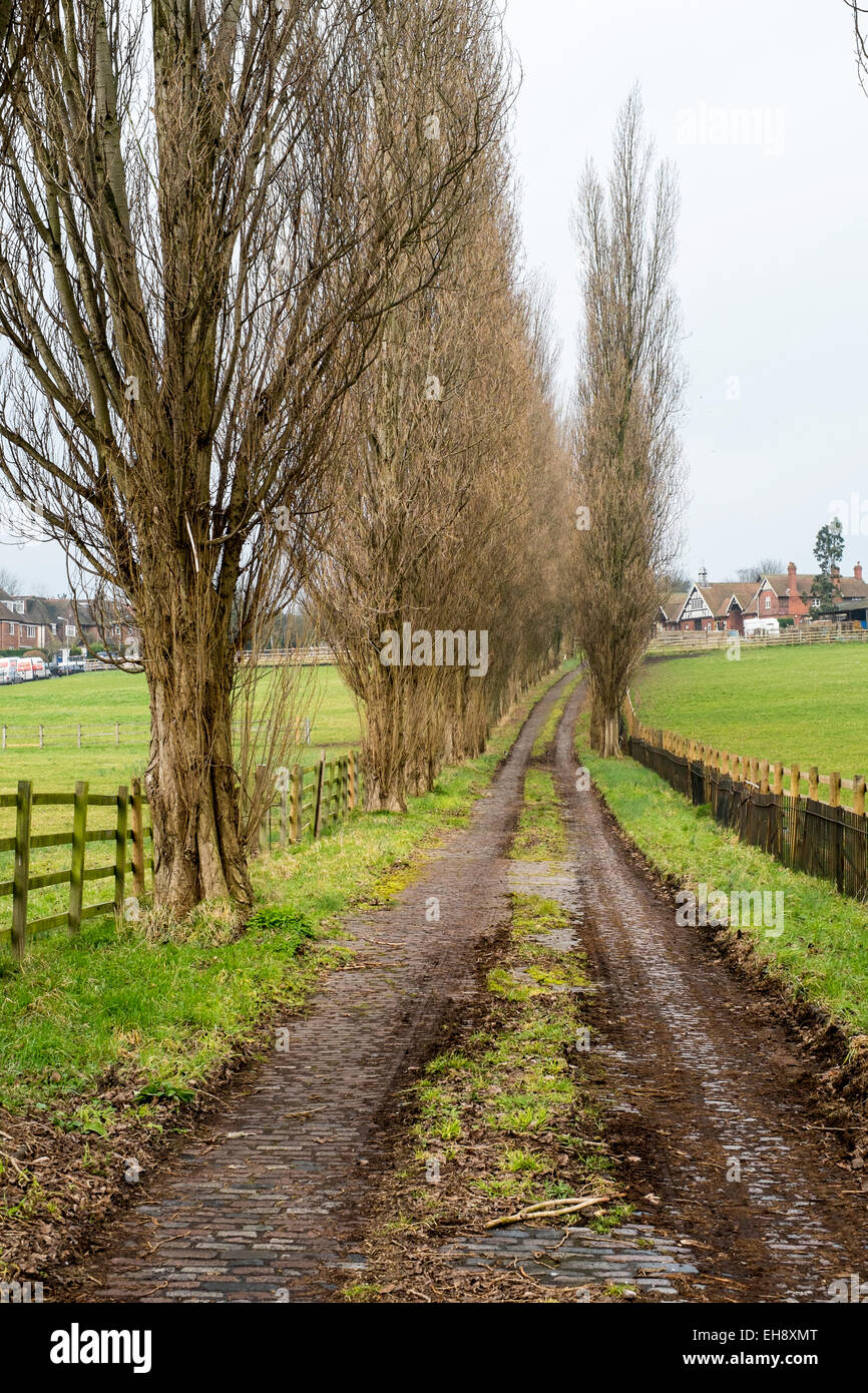 London farm finchley hi-res stock photography and images - Alamy