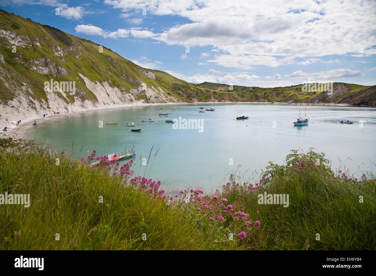 Lulworth cove, Dorset, England Stock Photo - Alamy