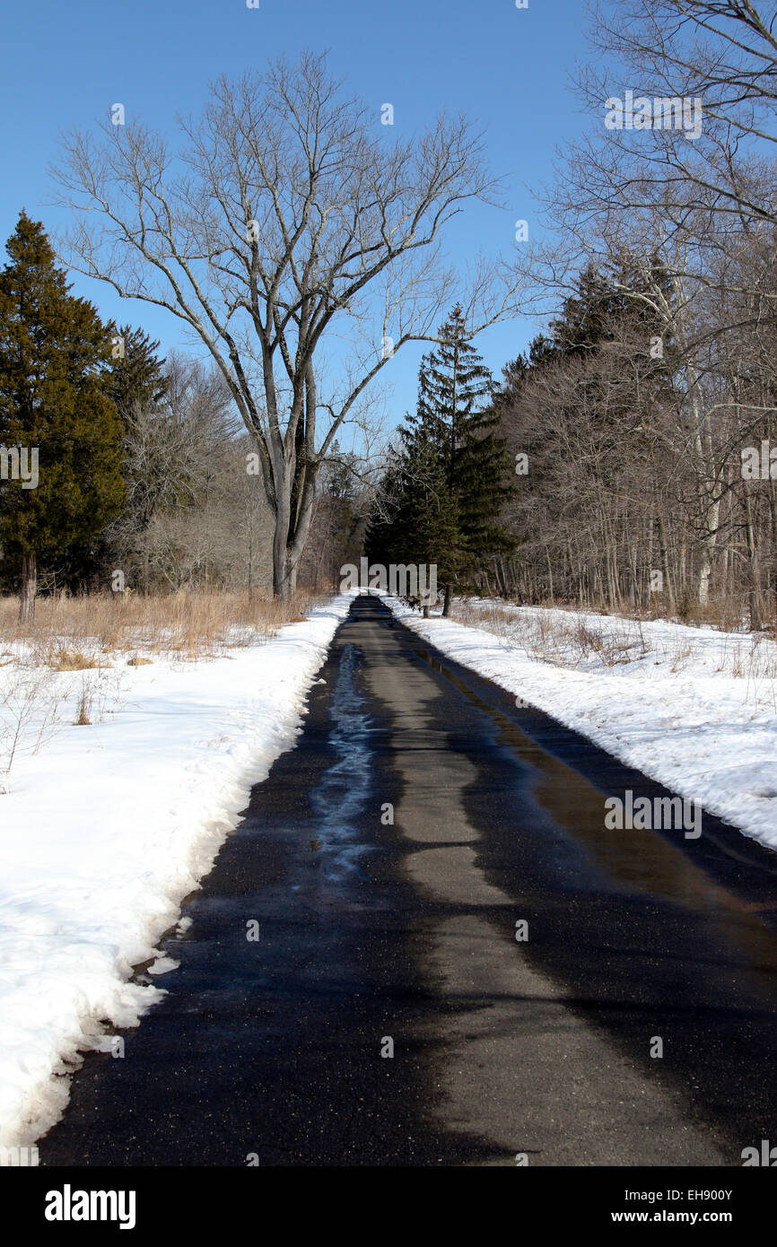 Straight road in the forest in winter with snow Stock Photo - Alamy