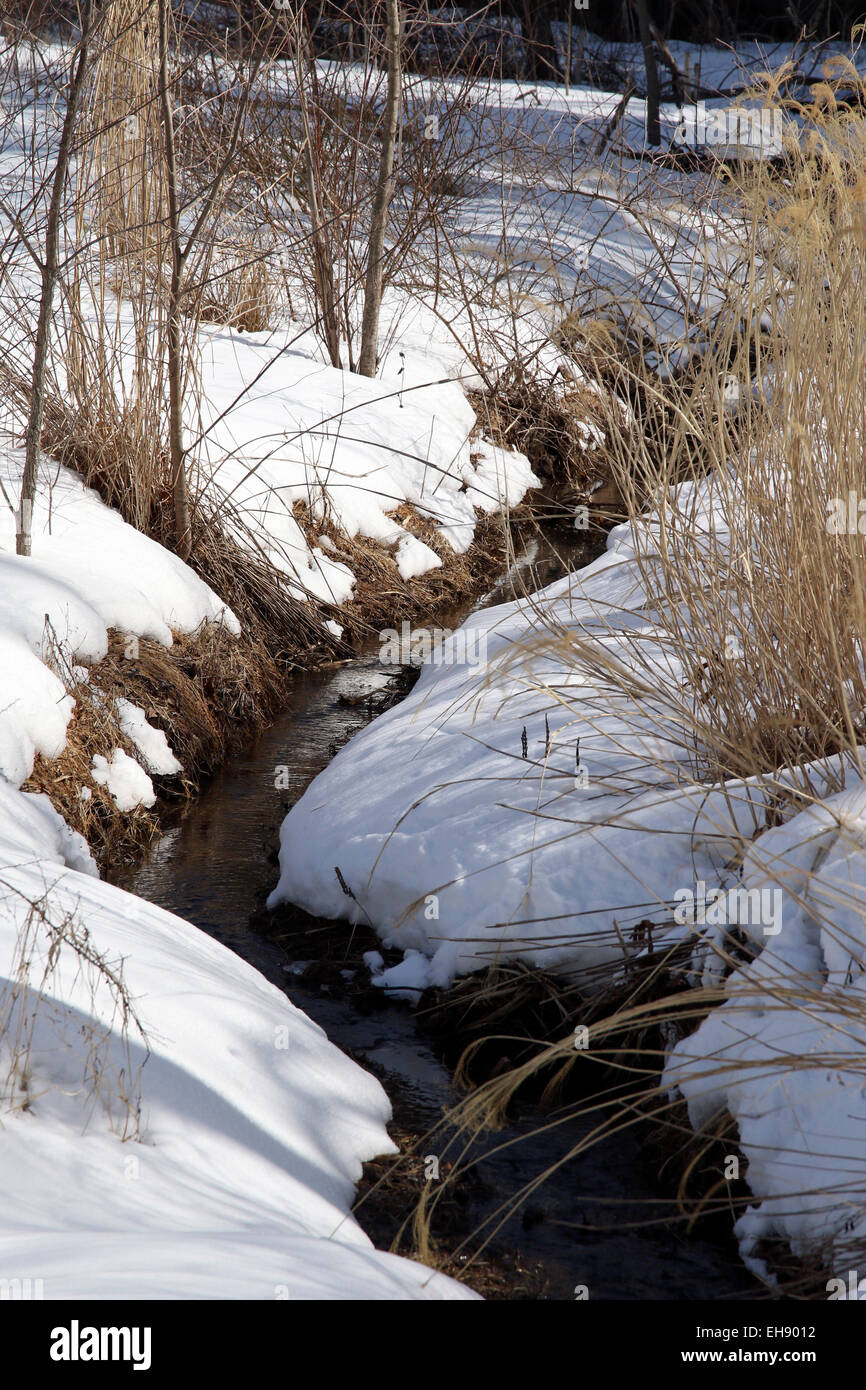 Small stream brook in the forest with heavy snow on the banks Stock ...