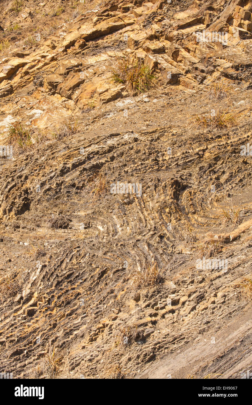 folded sedimentary rock, Devil's Slide Coastal Trail, near Half Moon ...