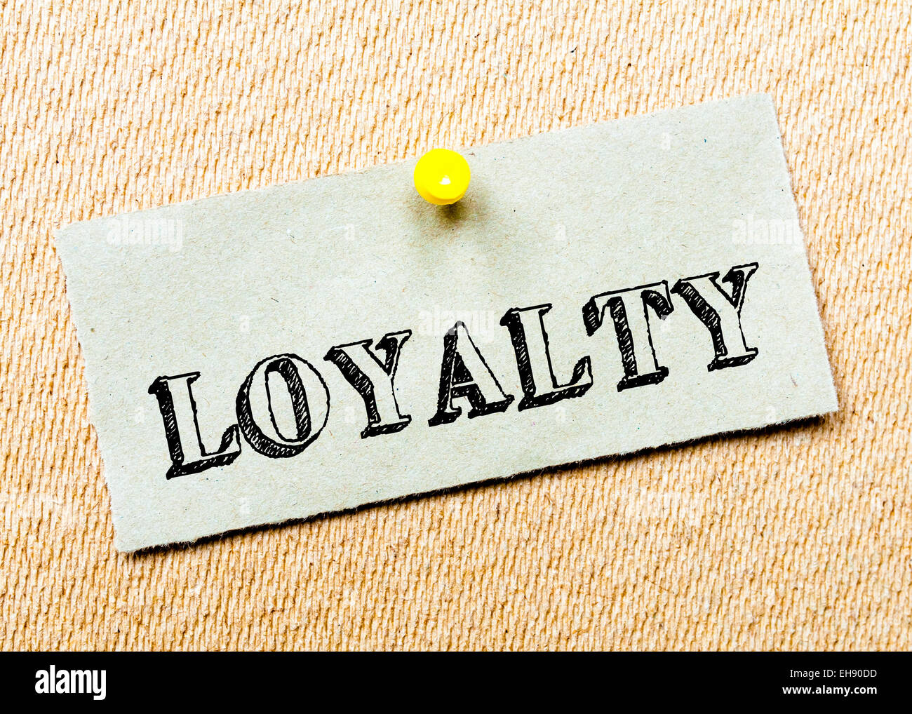 Recycled paper note pinned on cork board.Loyalty Message. Concept Image ...