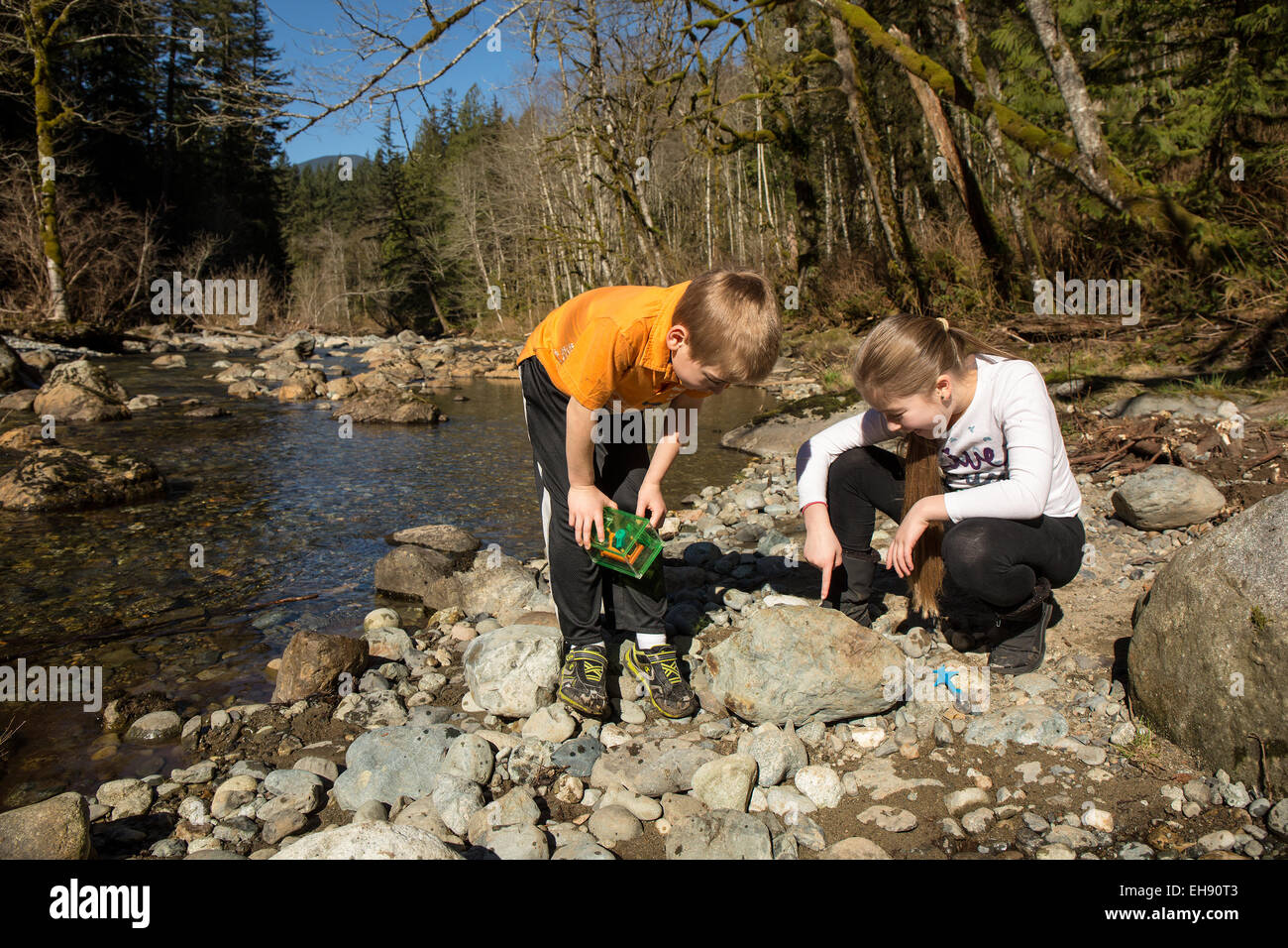 Nine year old girl and her seven year old brother searching for insects ...