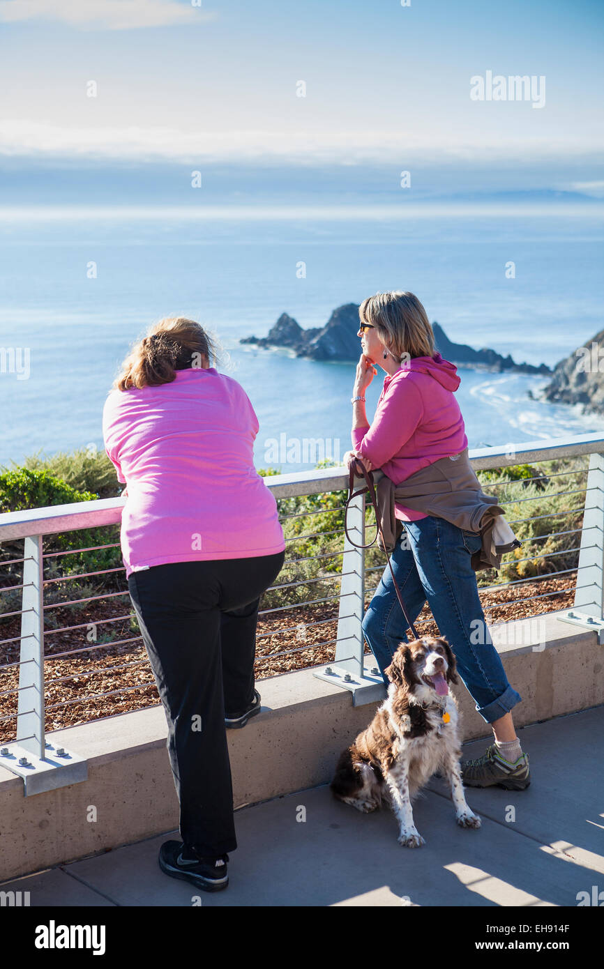Coastal Dogs High Resolution Stock Photography and Images - Alamy