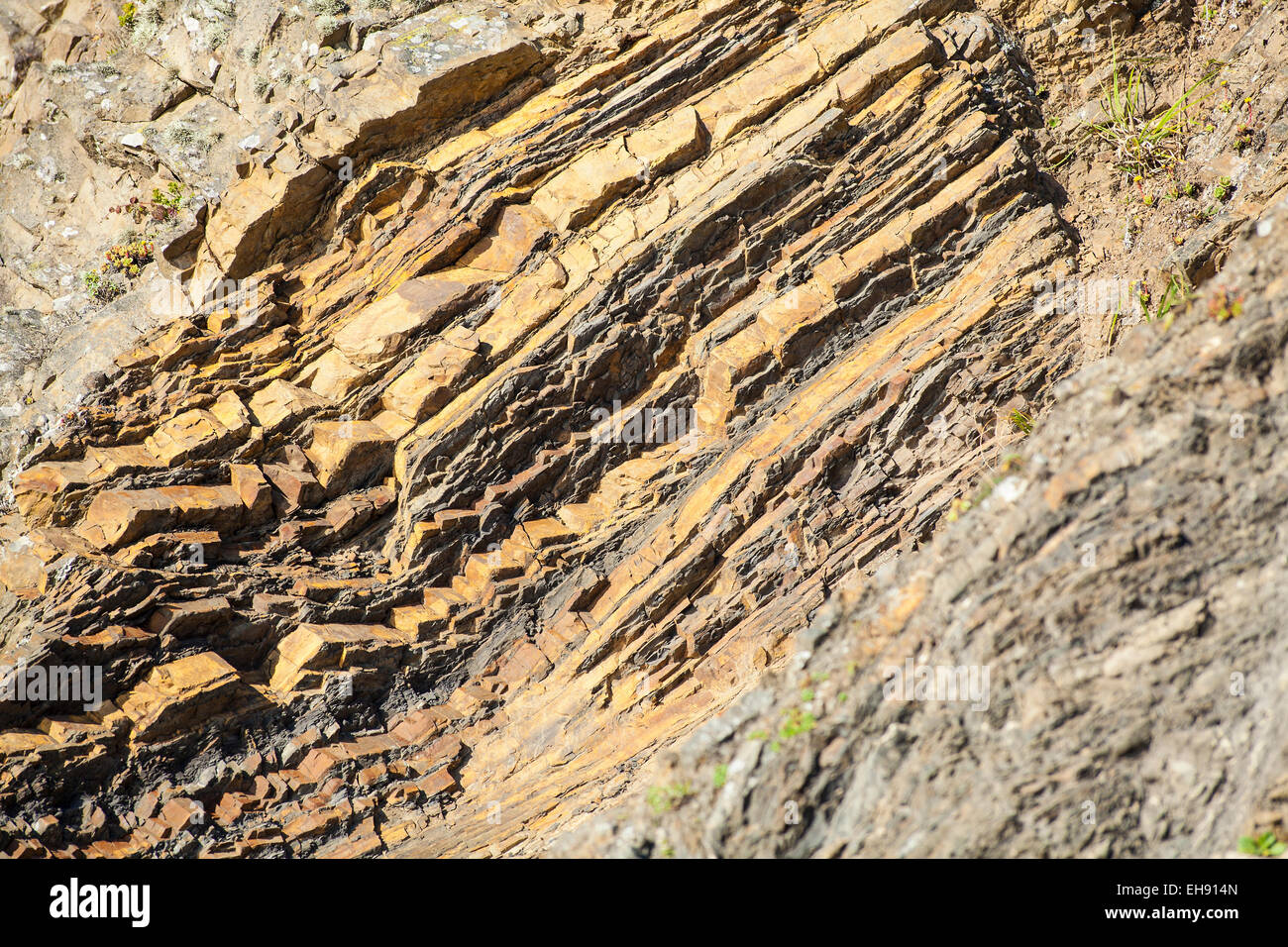folded sedimentary rock, Devil's Slide Coastal Trail, near Half Moon ...