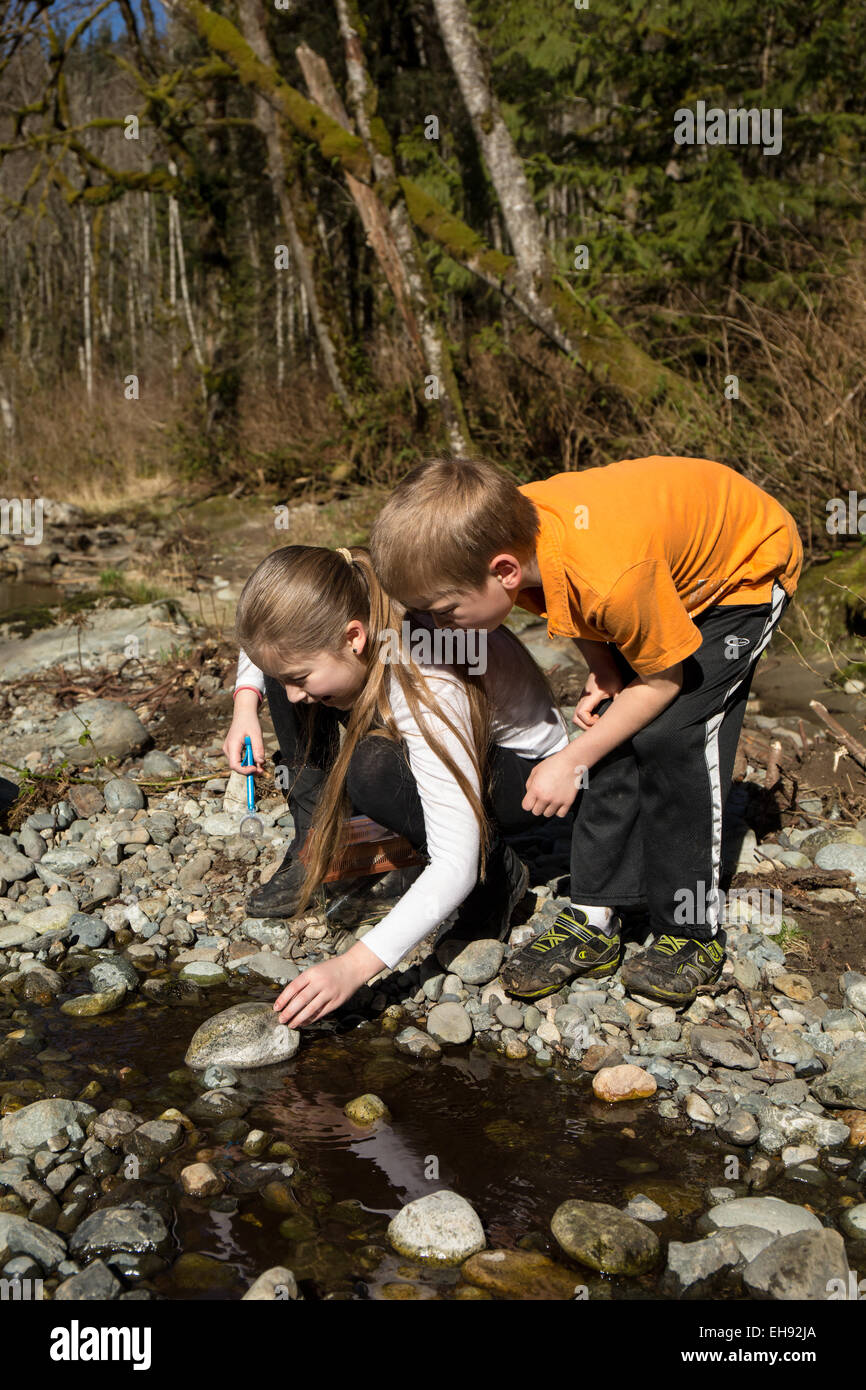 Nine year old girl and her seven year old brother searching for insects ...