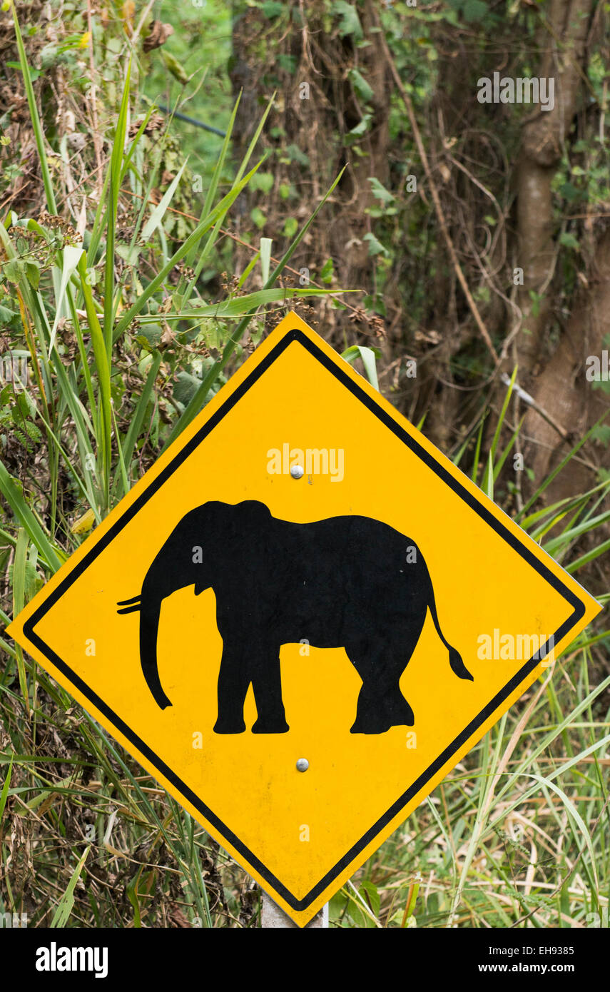 Road sign elephants crossing hi-res stock photography and images - Alamy