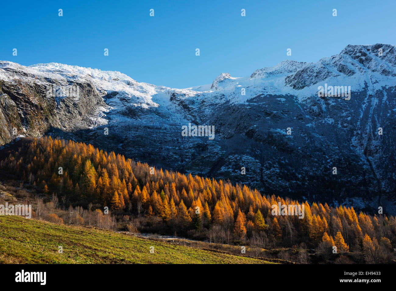 Europe, France, Haute Savoie, Rhone Alps, Chamonix, autumn colours at ...
