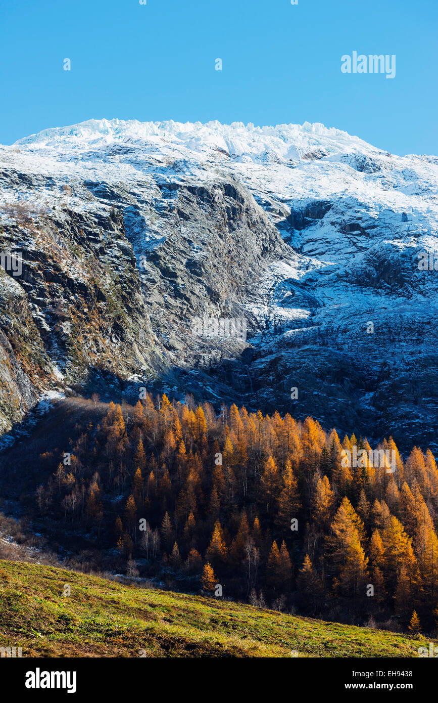 Europe, France, Haute Savoie, Rhone Alps, Chamonix, autumn colours at ...