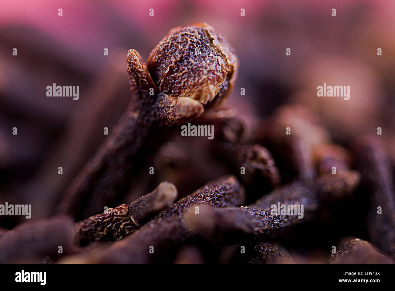 Fresh Clovel Food and Nutrition Quality nobody Stock Photo - Alamy