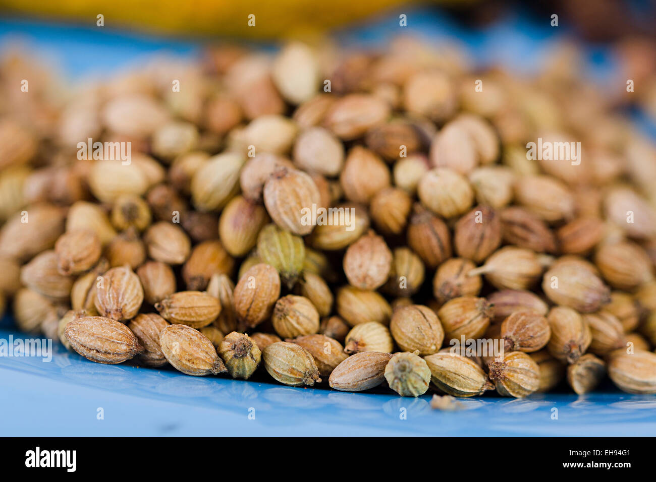 Dhaniya hi-res stock photography and images - Alamy