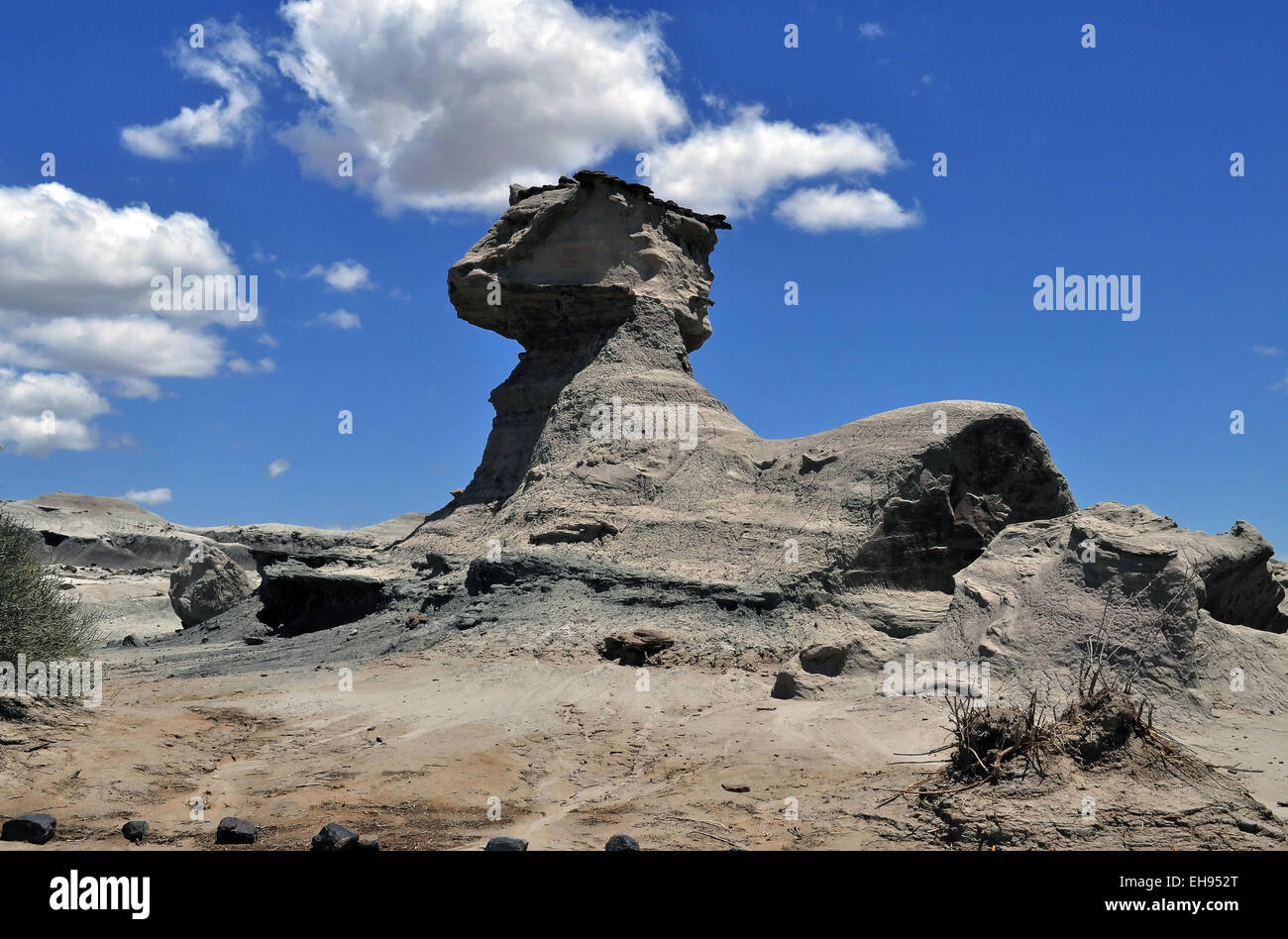 la esfinge (sphinx). Ischigualasto Provincial Park (Valle de la Luna ...