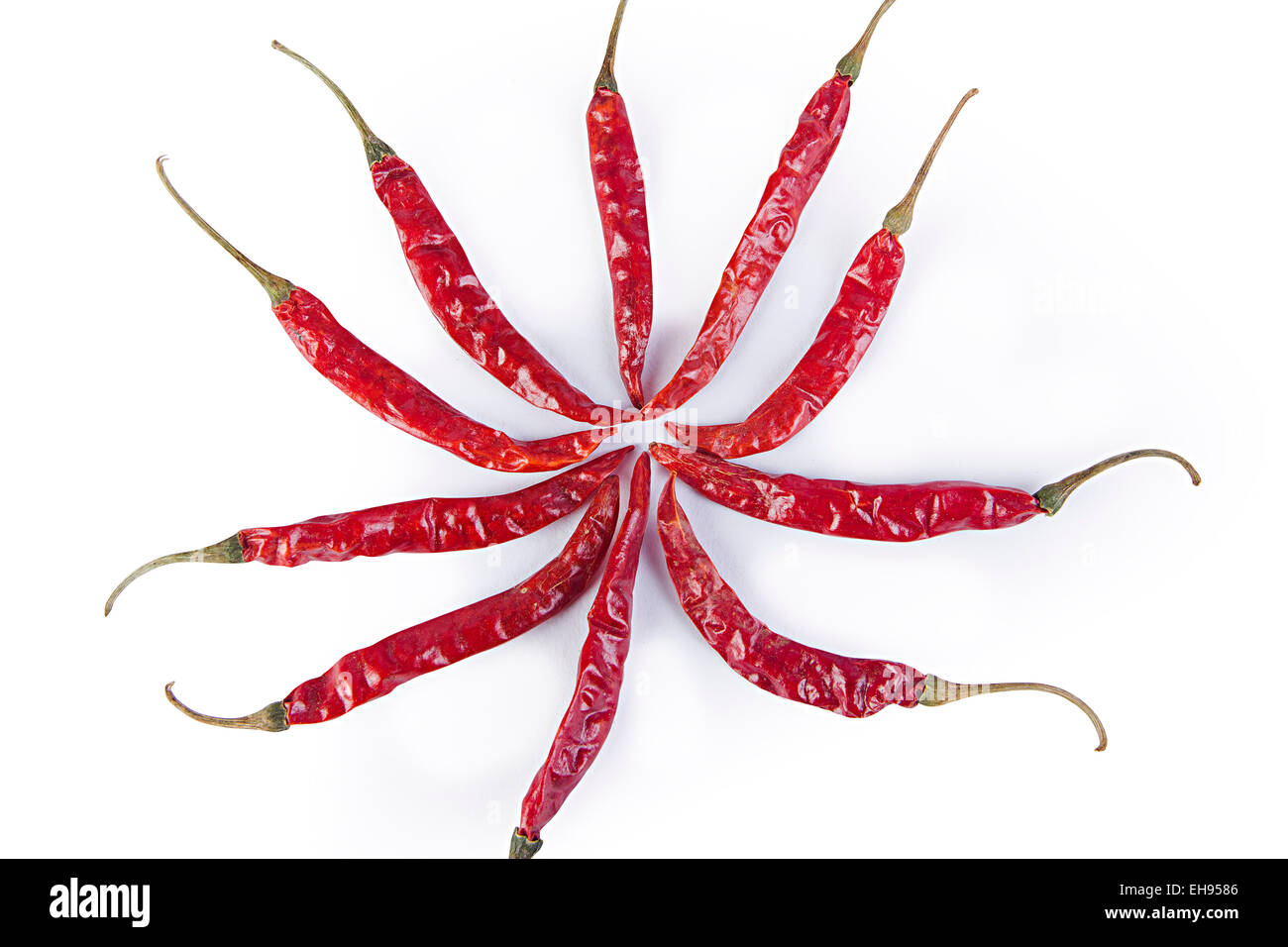 Fresh Red Chilli Arranging Food and Nutrition Quality nobody Stock ...