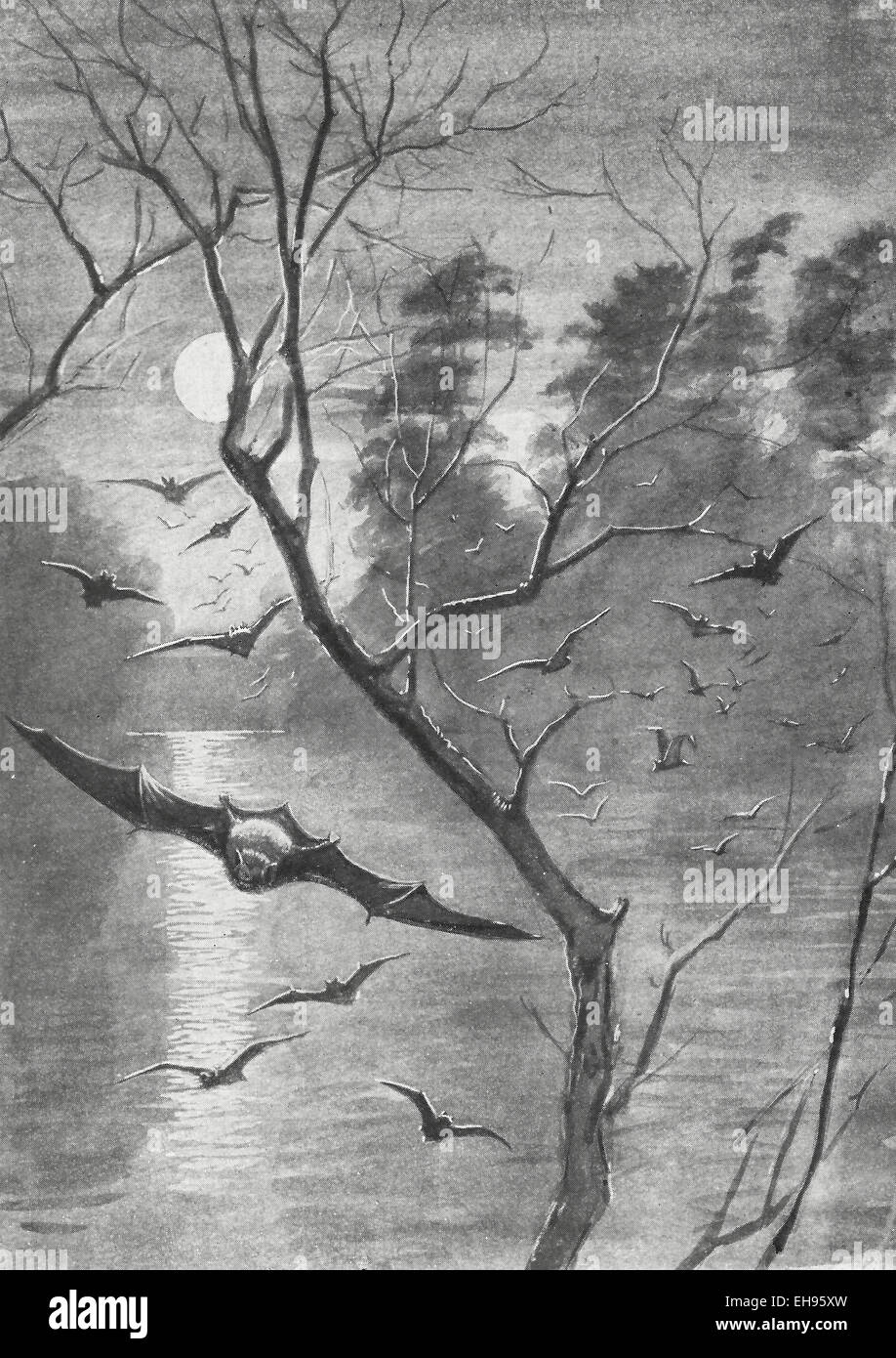 Flittering about hi-res stock photography and images - Alamy