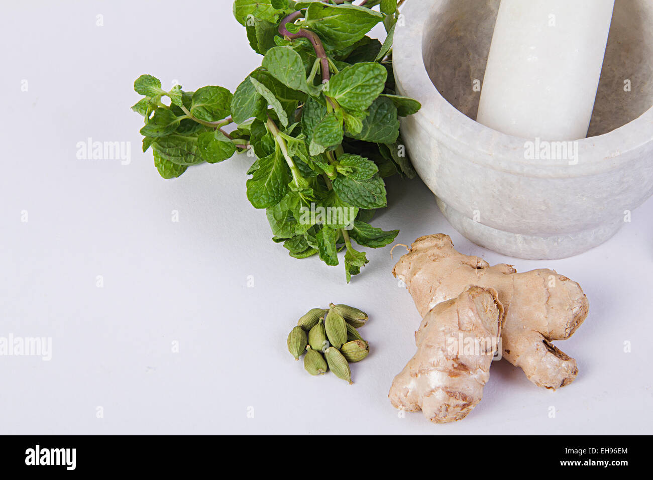Ginger leaf hi-res stock photography and images - Alamy