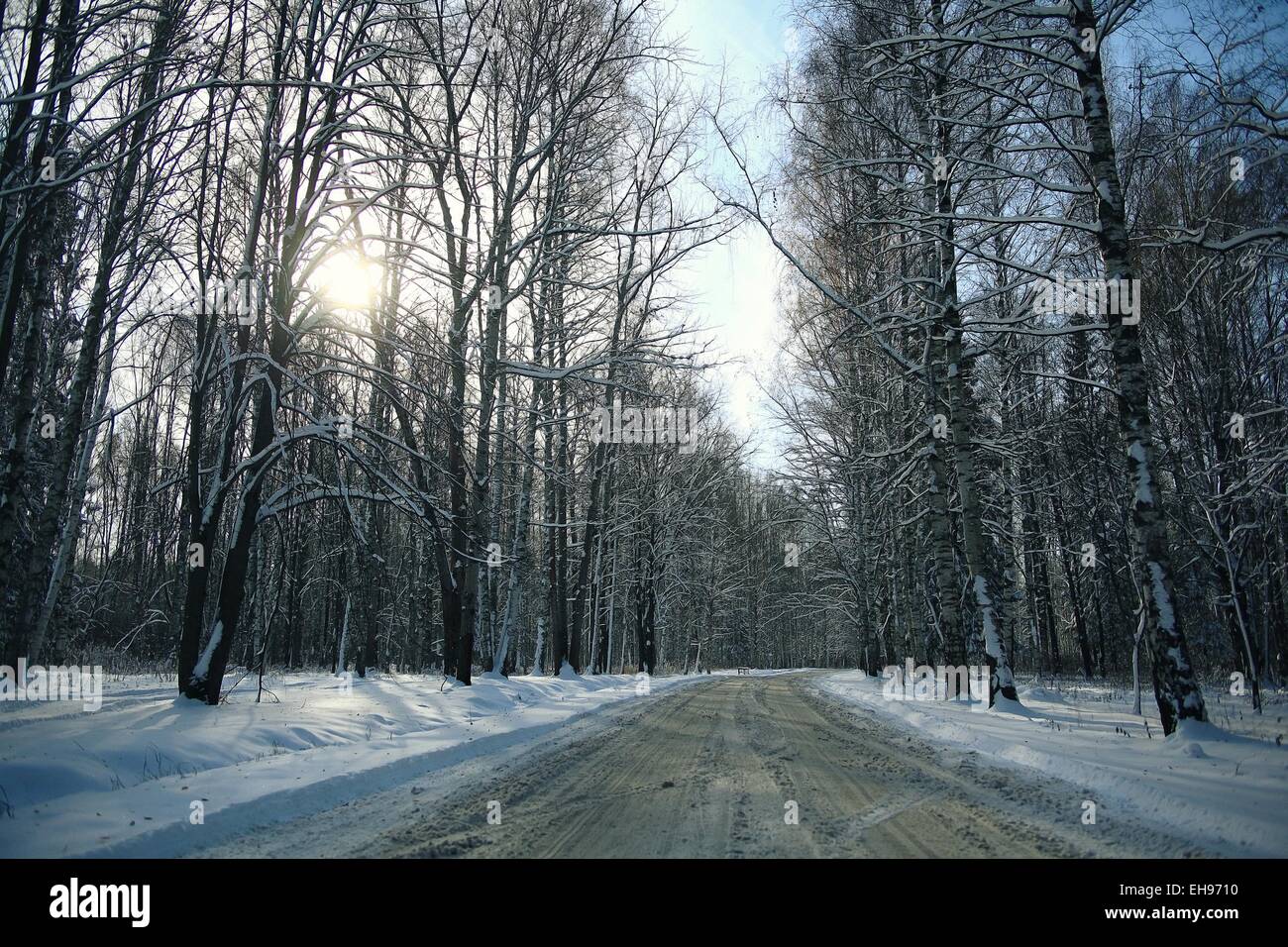 landscape winter snow forest Stock Photo - Alamy