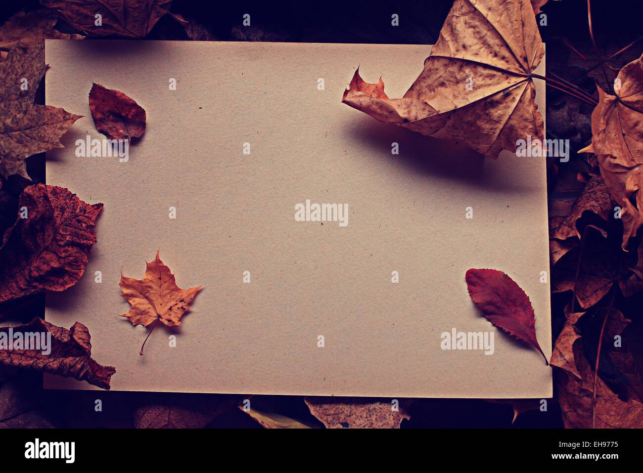 paper letter fallen leaves concept Stock Photo - Alamy