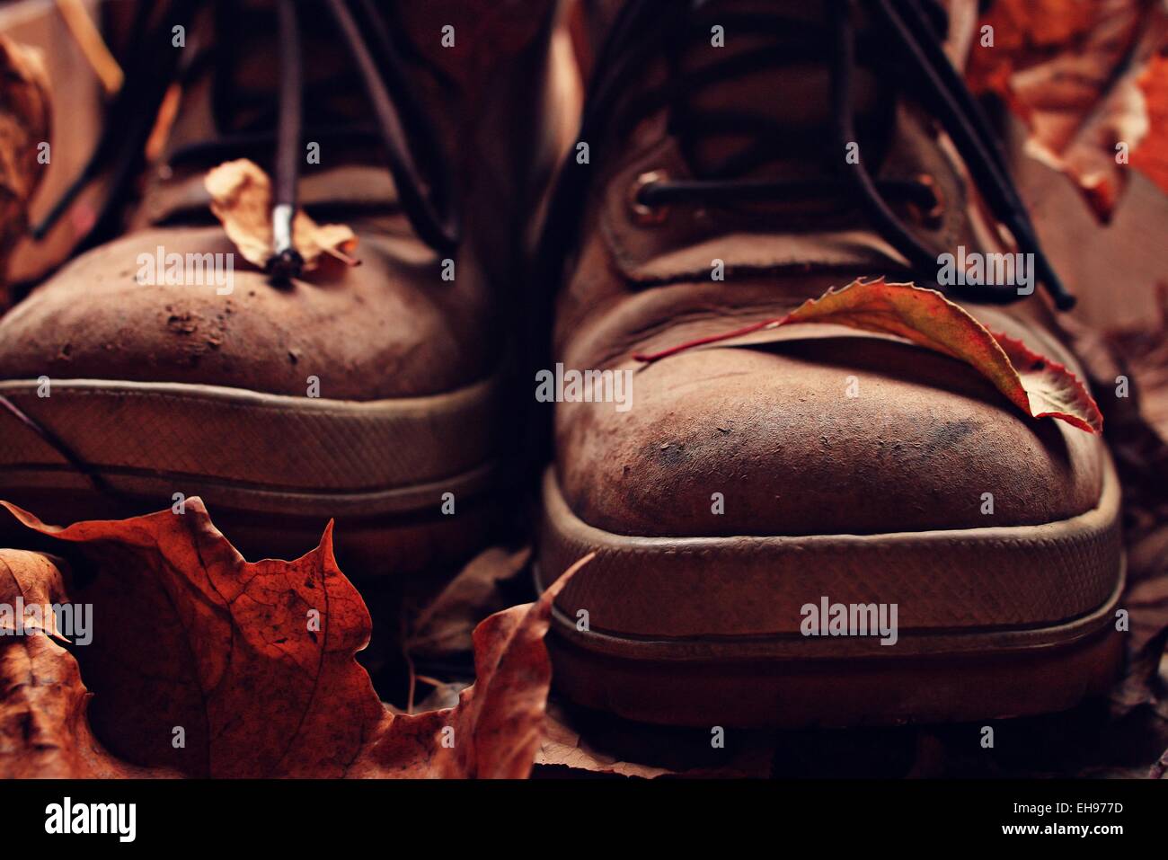 Old hiking shoes hi-res stock photography and images - Alamy