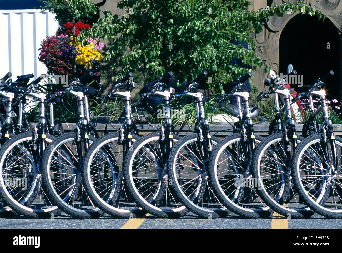 Bikes rent hi-res stock photography and images - Alamy