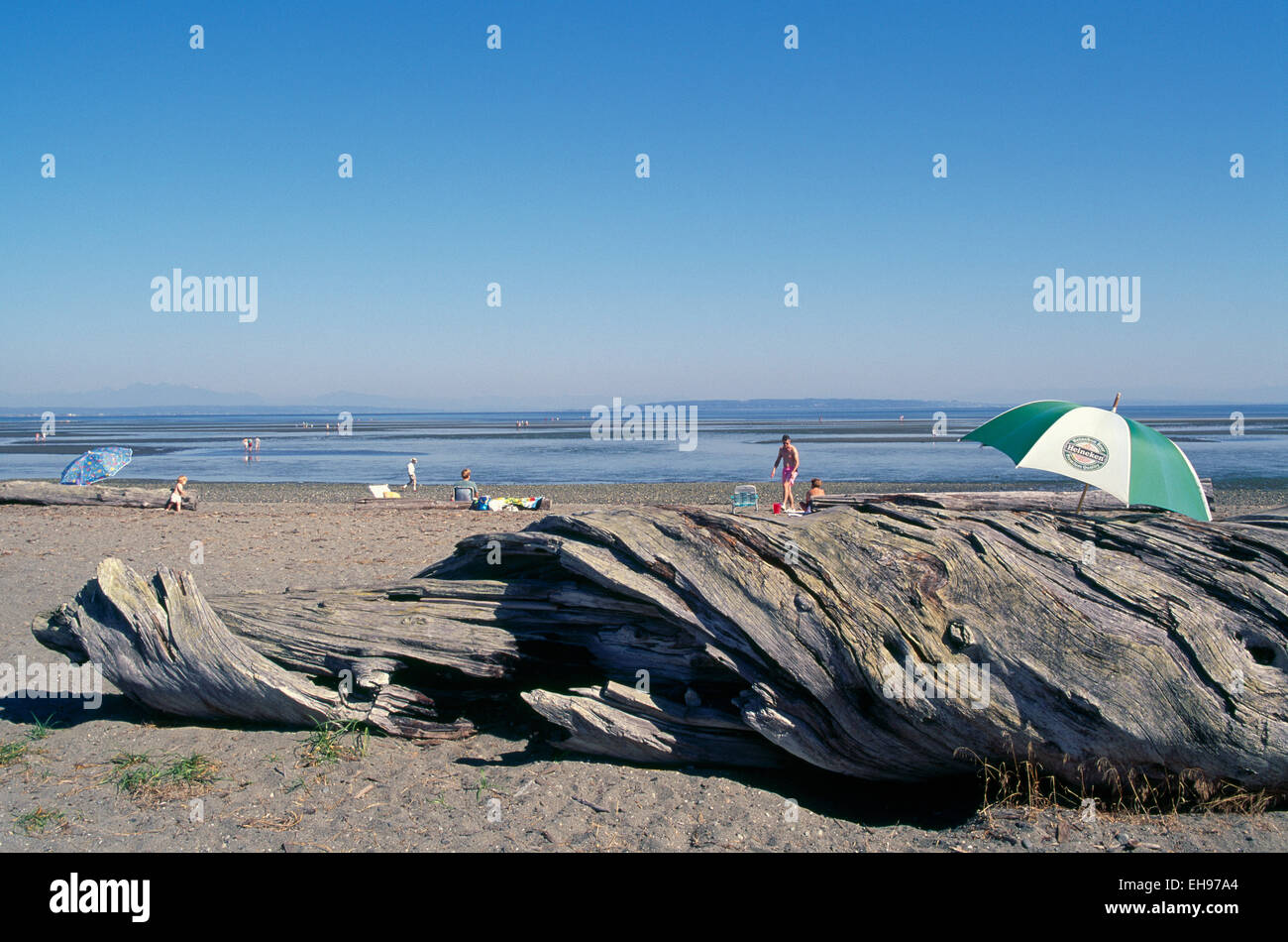 Delta canada beach sunbathing bc hi-res stock photography and images ...