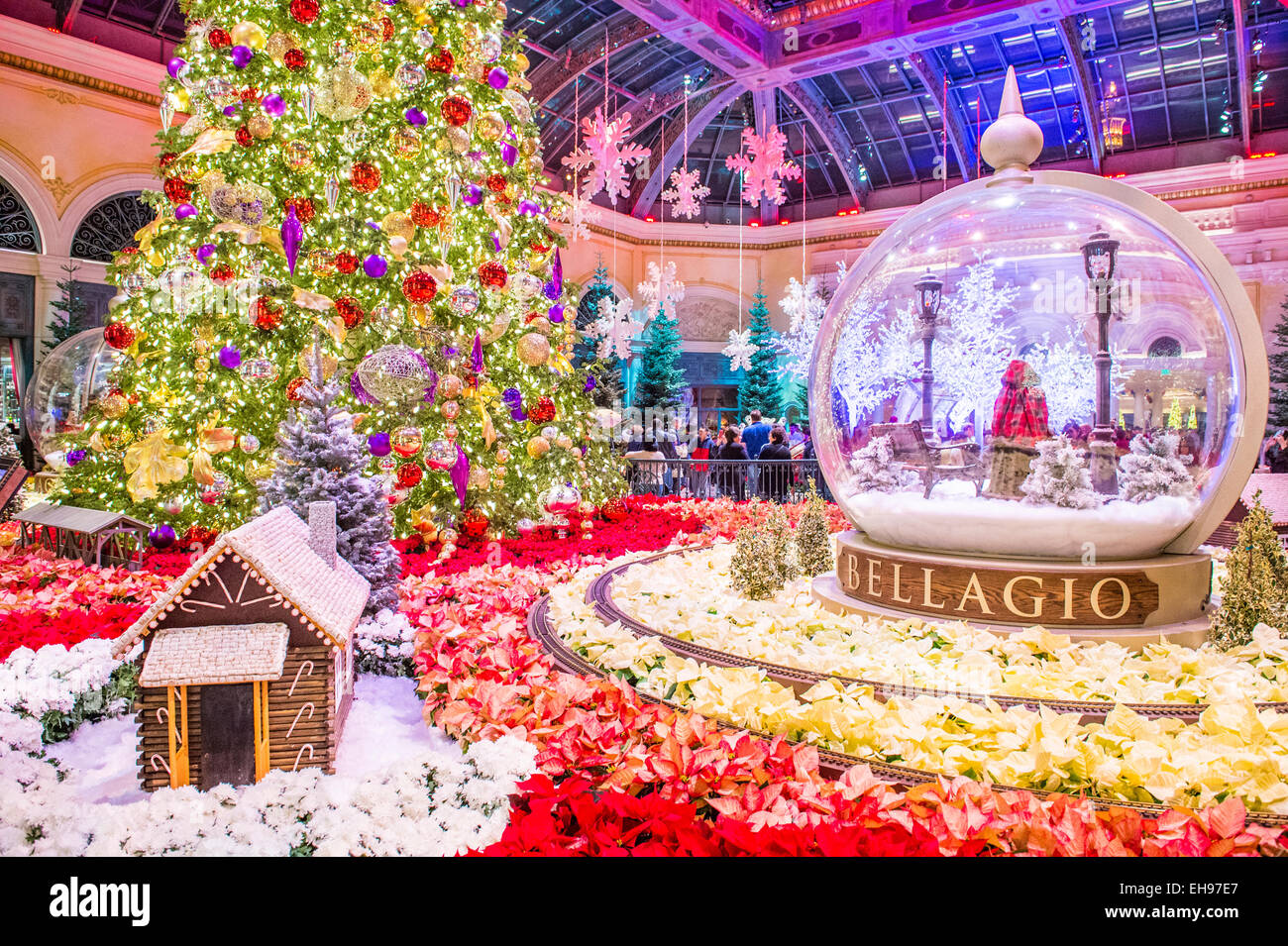 Winter season in Bellagio Hotel Conservatory & Botanical Gardens in Las ...