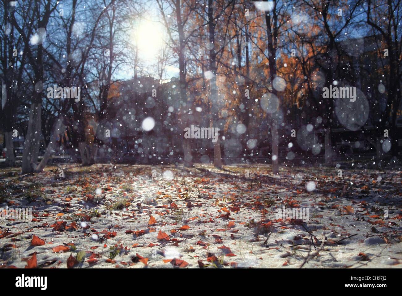 Autumn snow landscape hi-res stock photography and images - Alamy