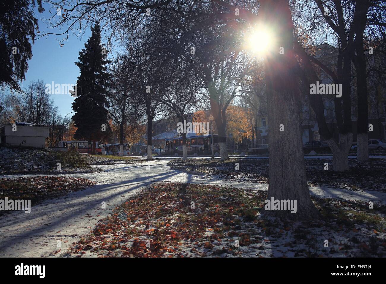 landscape park autumn trees snow forest Stock Photo - Alamy