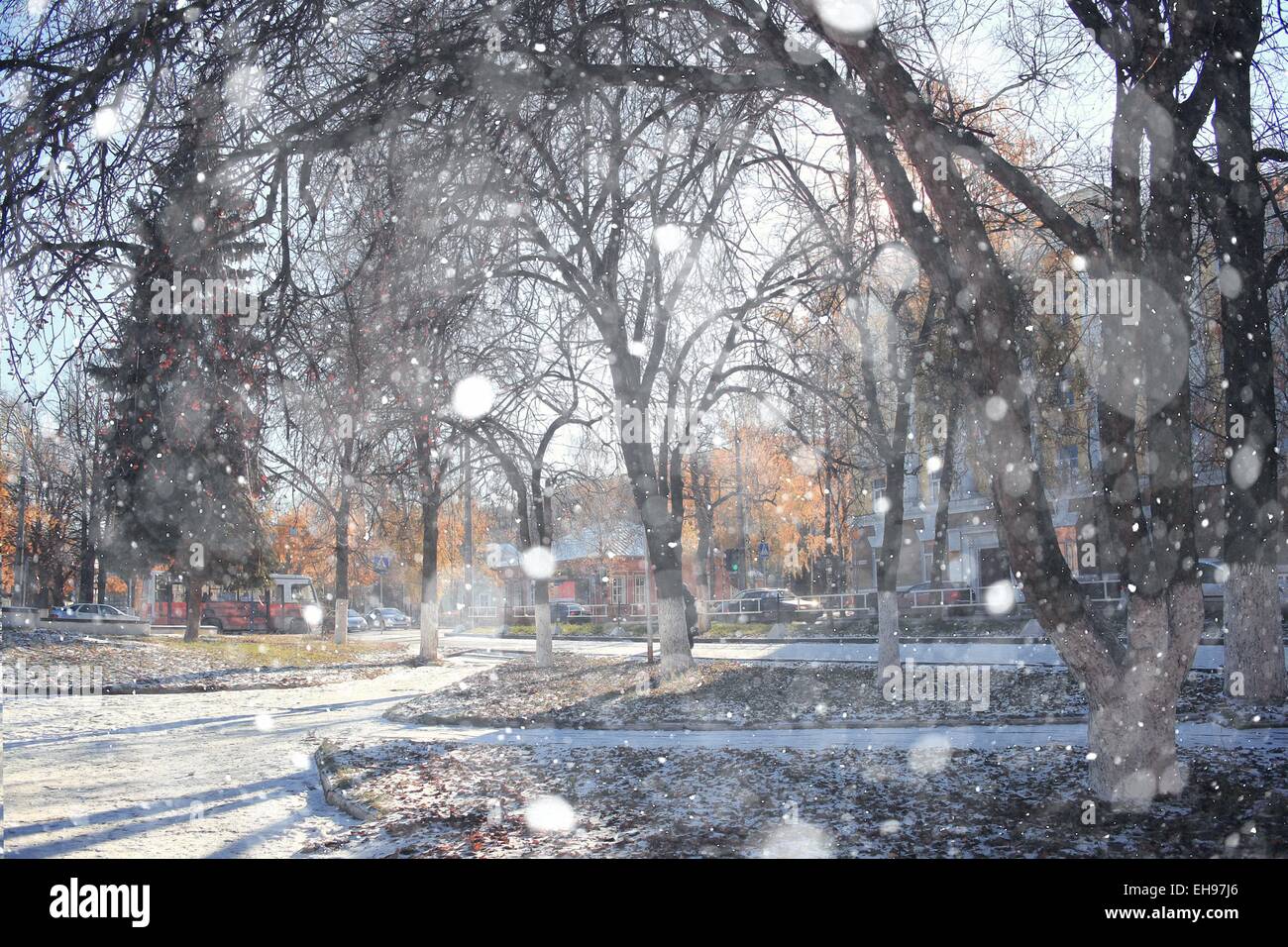 landscape park autumn trees snow forest Stock Photo - Alamy