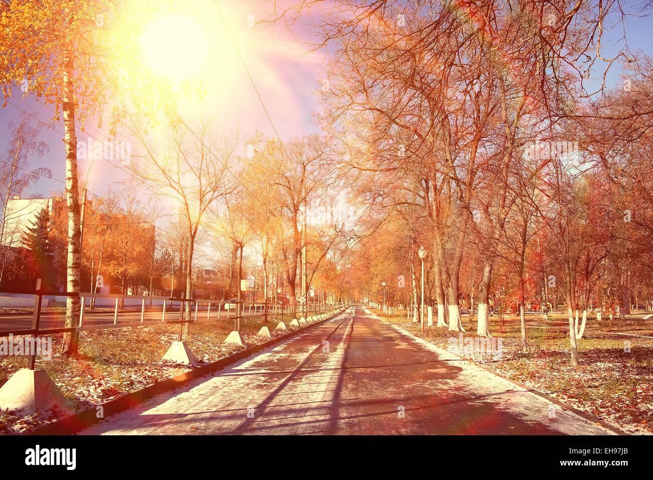 landscape in autumn park sun rays first snow Stock Photo - Alamy