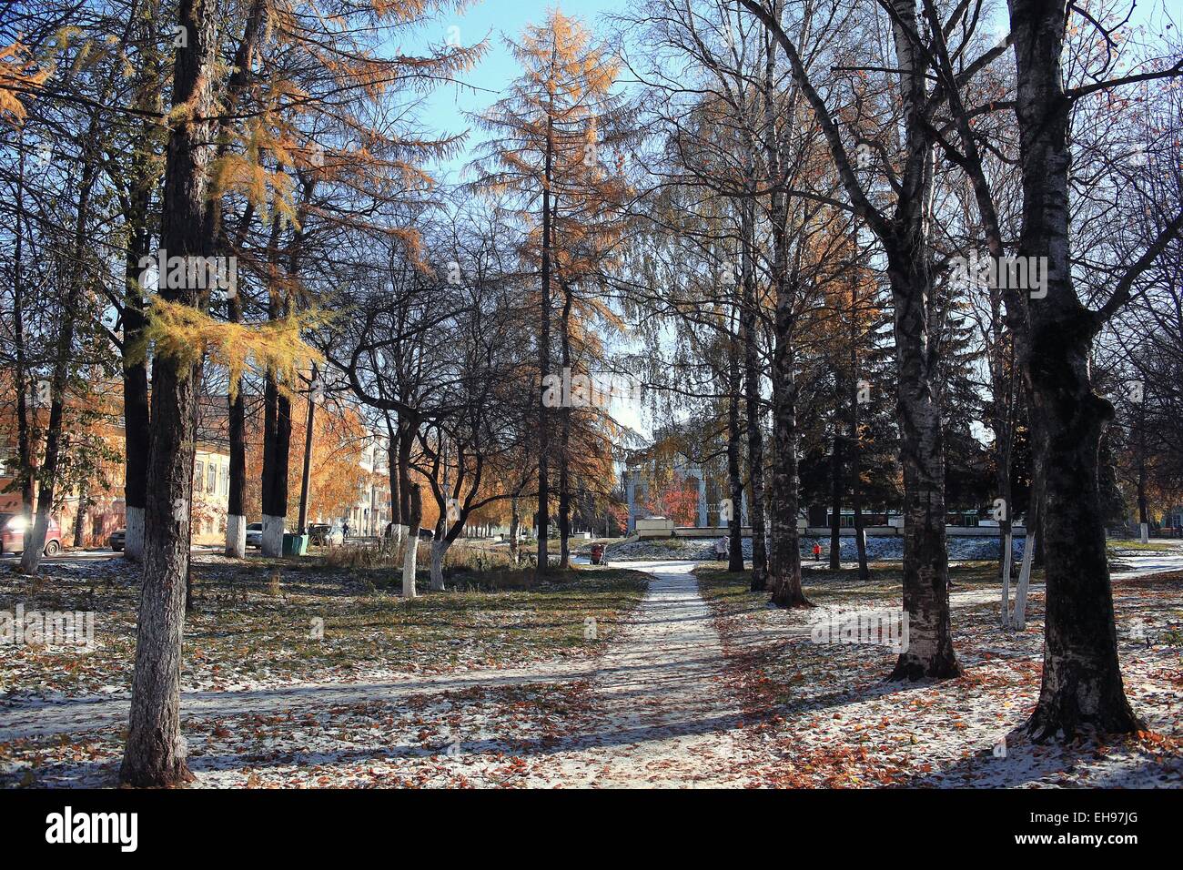 Autumn snow landscape hi-res stock photography and images - Alamy