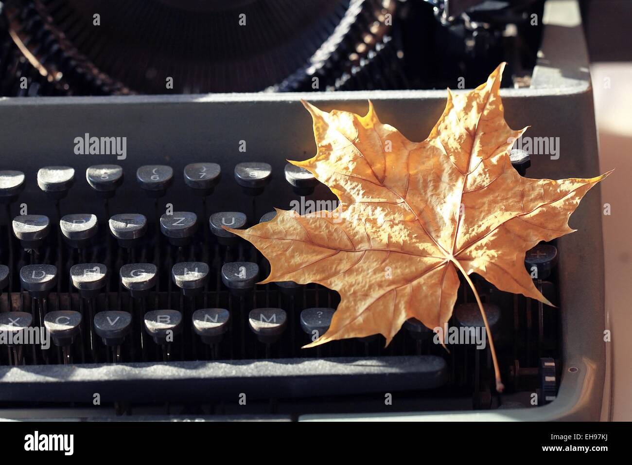 old typewriter concept autumn Stock Photo - Alamy