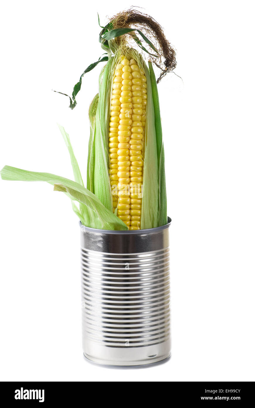 Corn on the cob in a tin can Stock Photo - Alamy