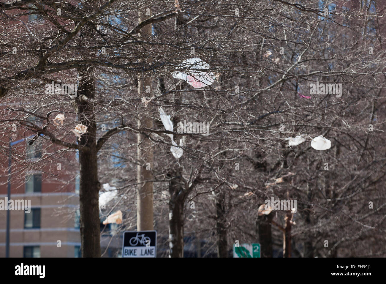 Plastic pollution tree hi-res stock photography and images - Alamy