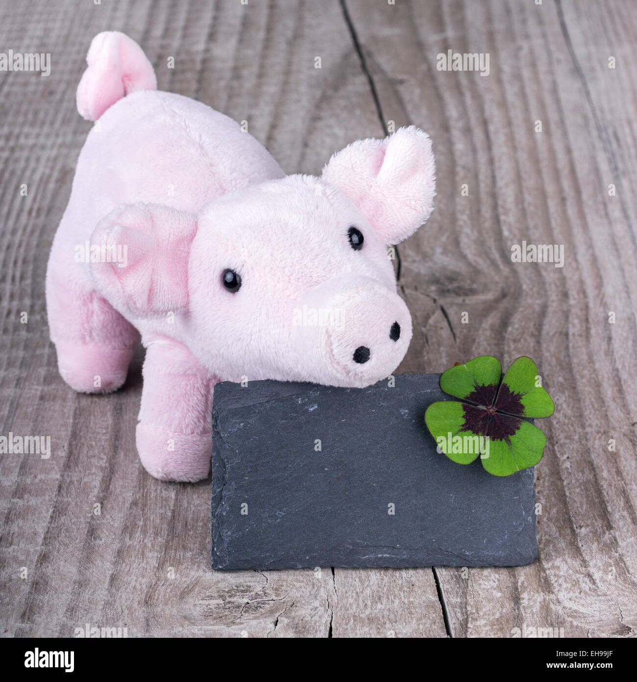 The lucky pig hi-res stock photography and images - Alamy